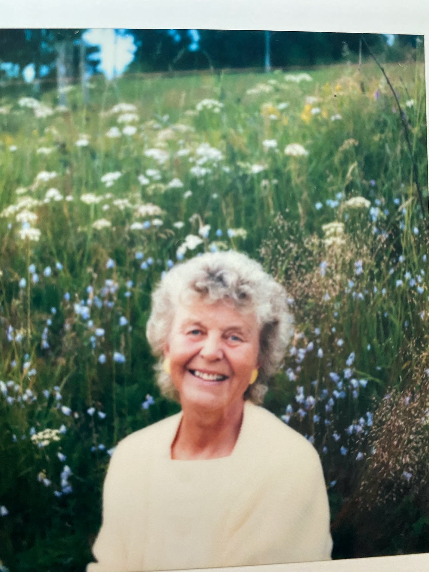 Andreas Iversen hjemmeside